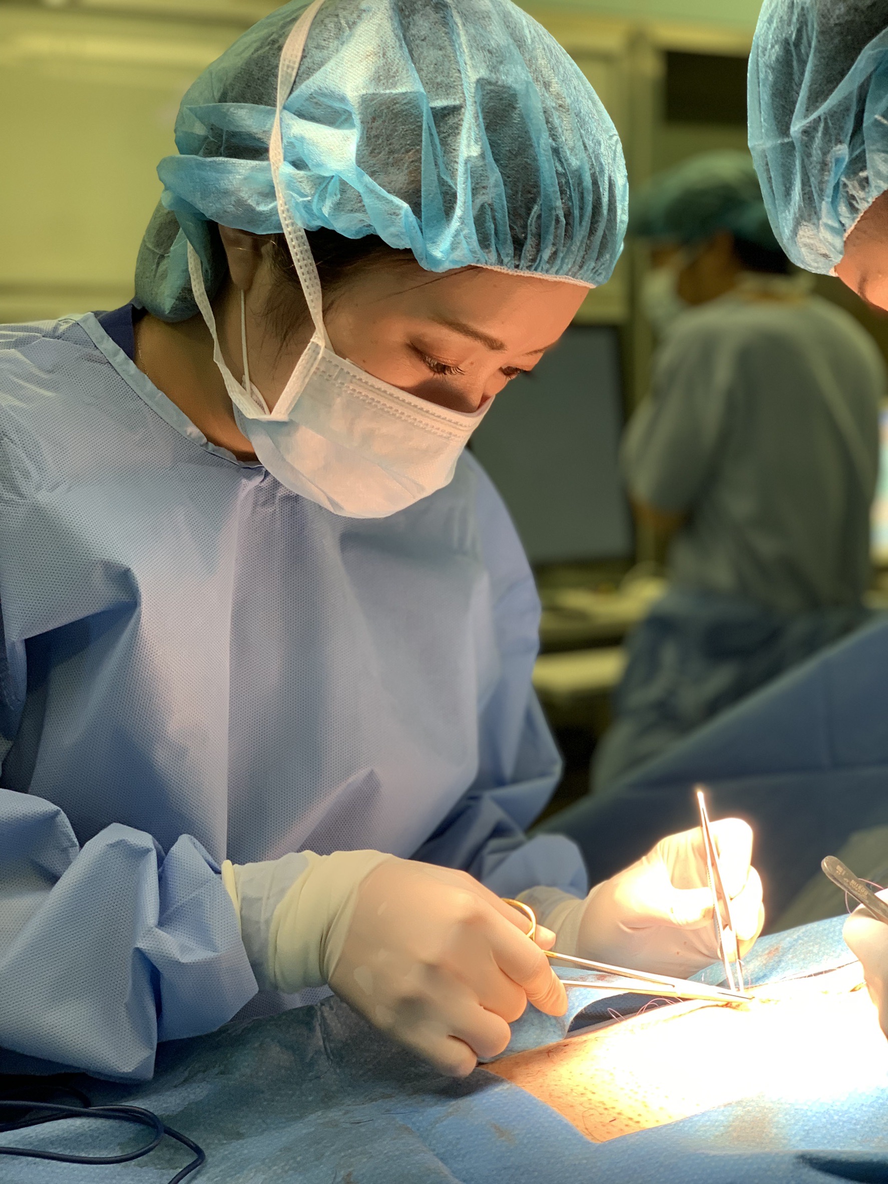 ハッと気づいたら師走…東海大学合格発表から12月がスタート 今年は医学科へ5人合格 – 東海大学山形高等学校 校長室から